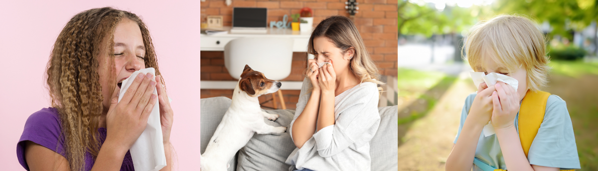 Hay Fever (Allergic Rhinitis) – Allergy Life Australia